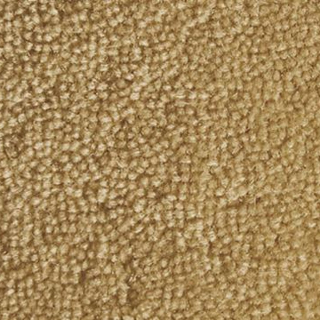 Cecilia – Patterson Flynn