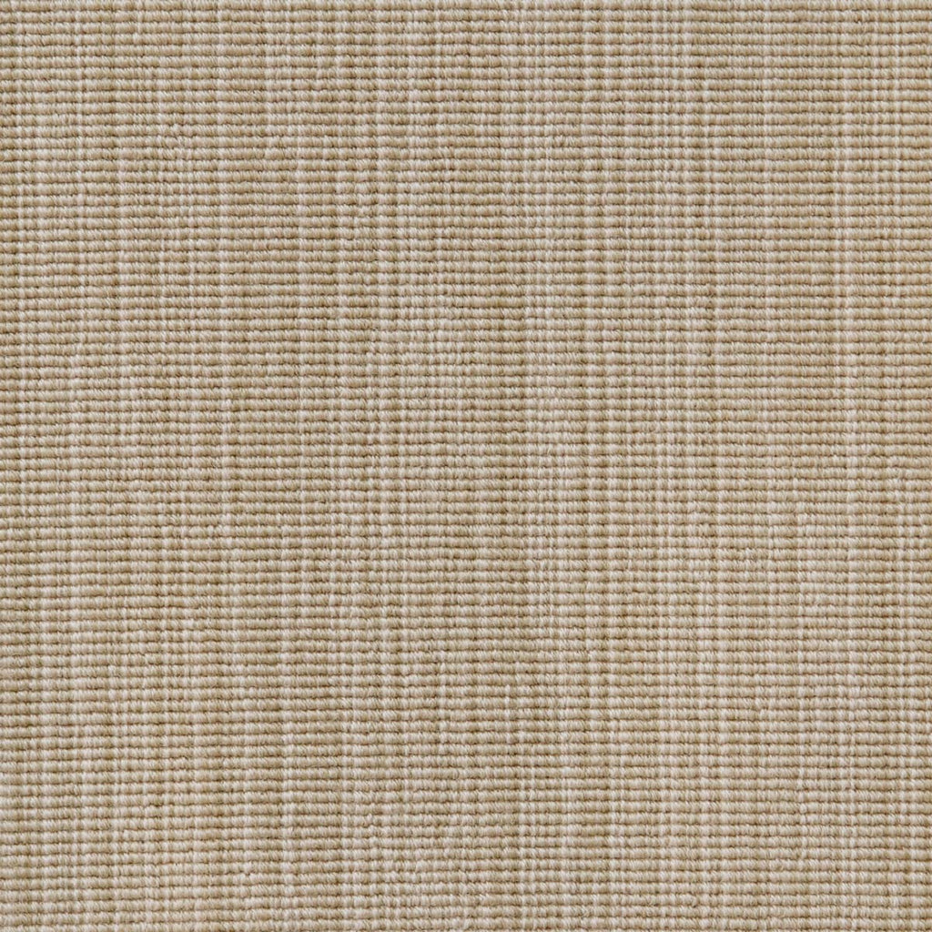 Tracey – Patterson Flynn