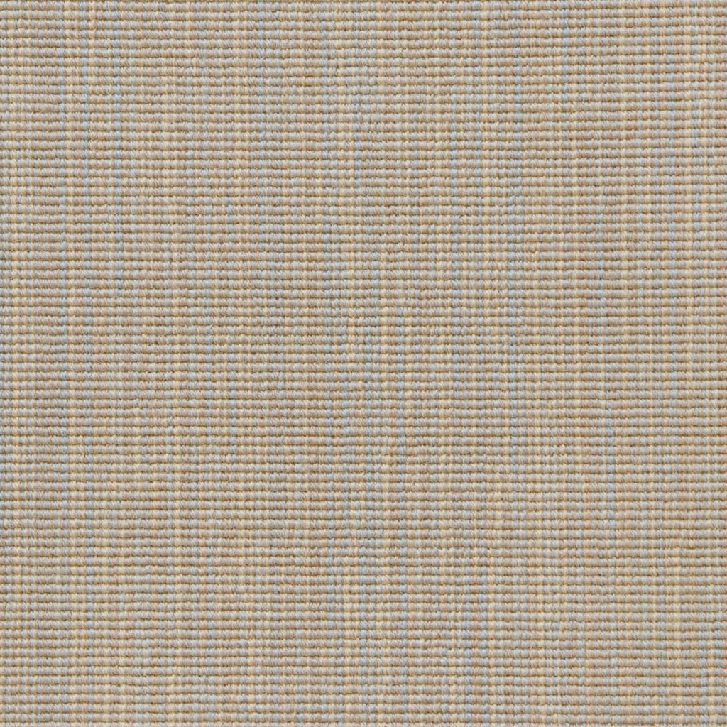 Tracey – Patterson Flynn