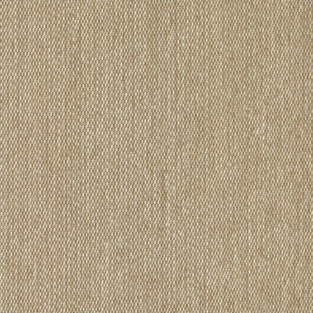 Sasha – Patterson Flynn